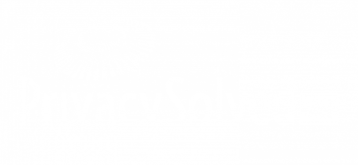 Privacy Solved AI – Infographics